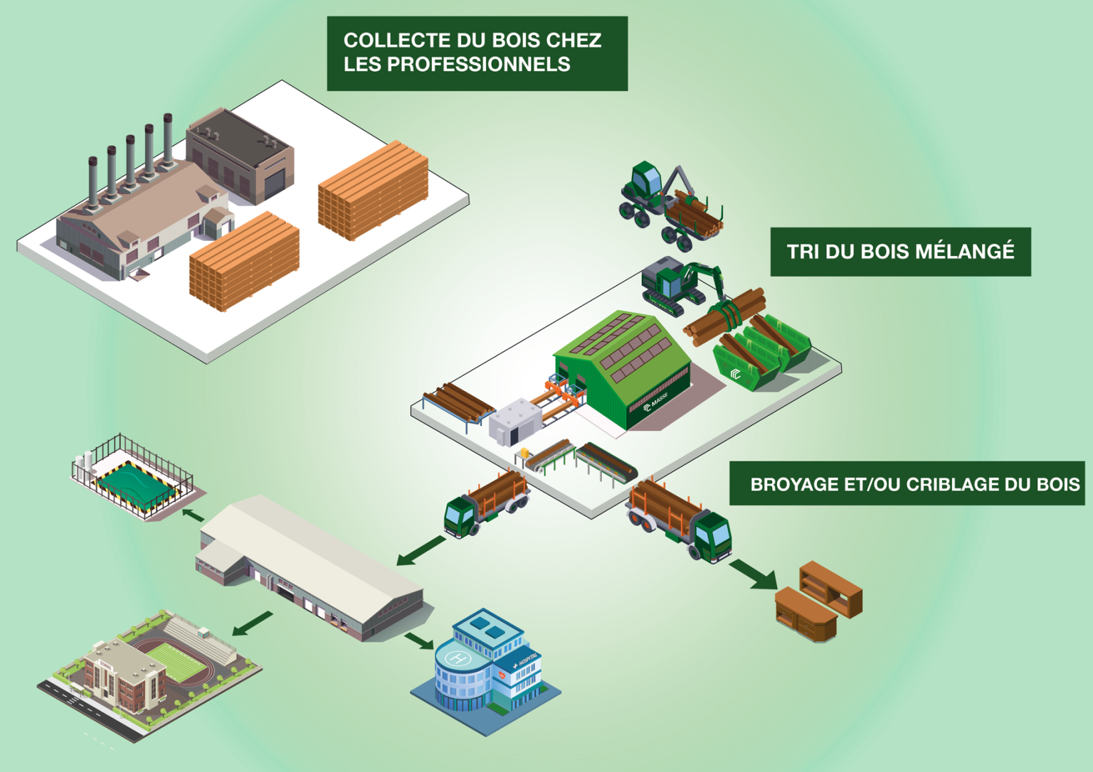 Comprendre le recyclage du bois | Masse Environnement